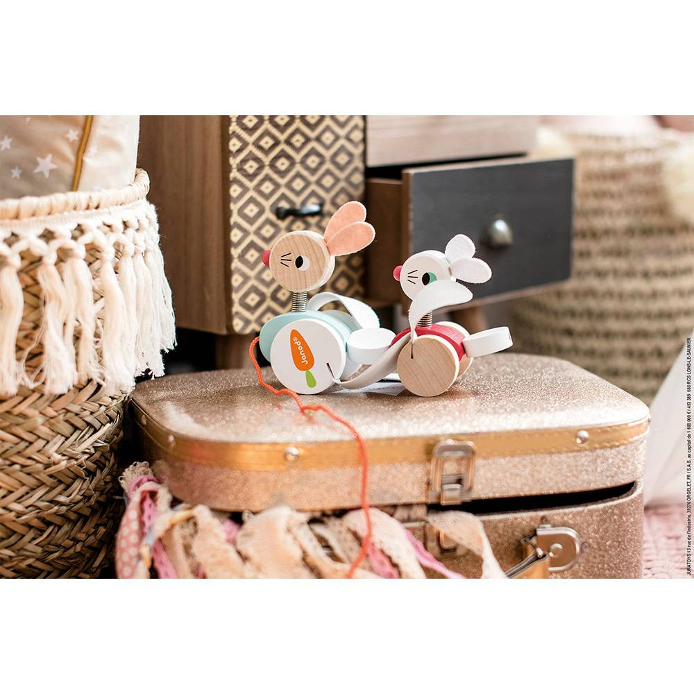 Zigolos Pull-Along Rabbits (wood) : Push & Pull toys Janod - J08207