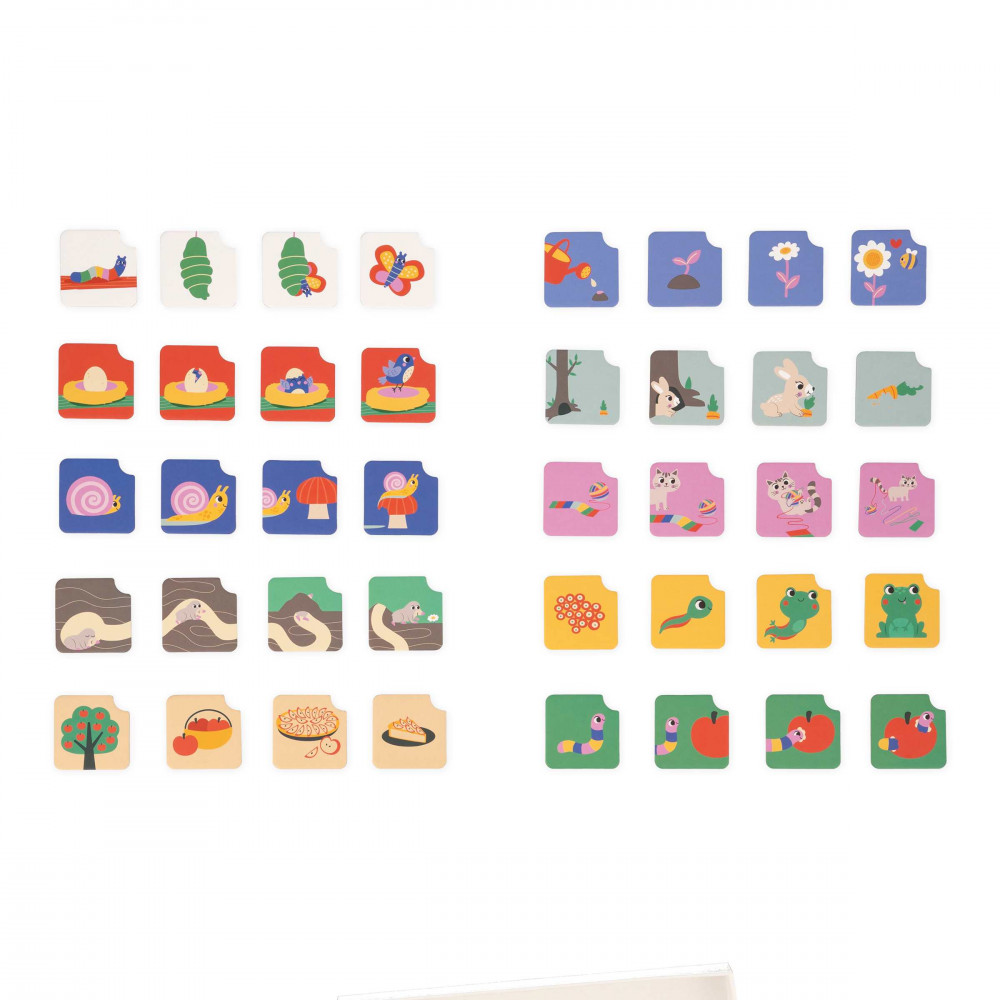 Sequences Cards - The Garden : Educational games in science and ...