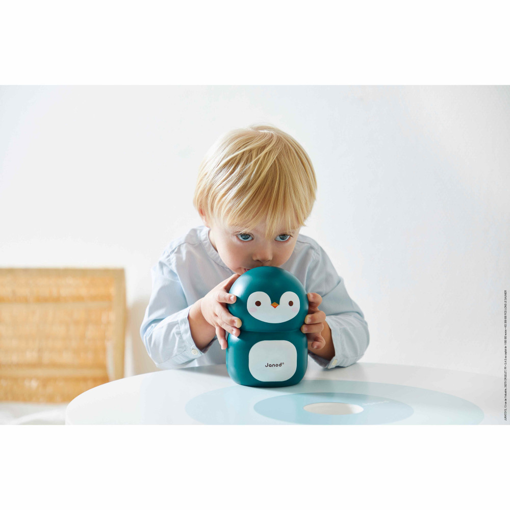Penguin Moneybox : Wooden piggy banks Janod - J04650