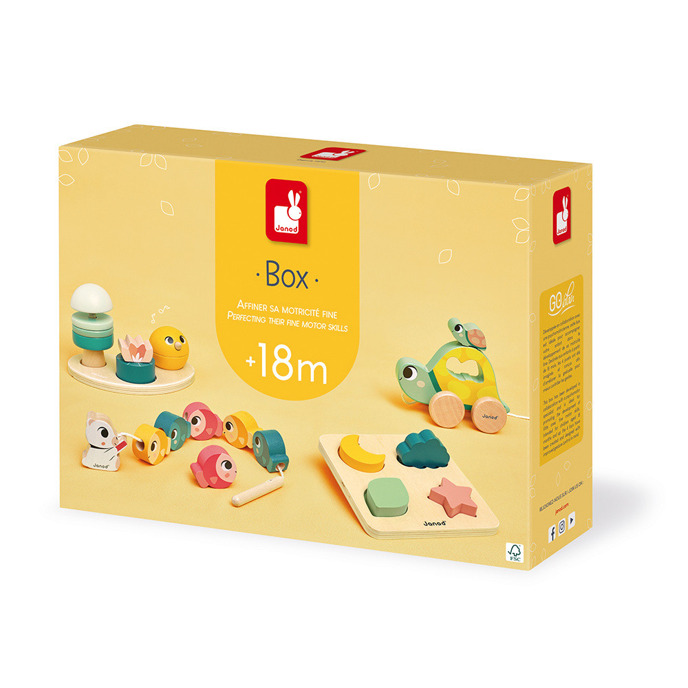 Janod Box - 18 months : The Janod boxes Janod - J04064