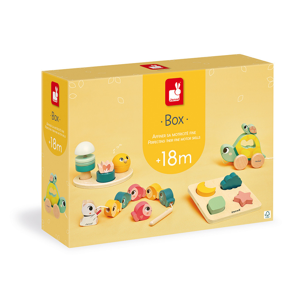 Janod Box - 18 months : The Janod boxes Janod - J04064