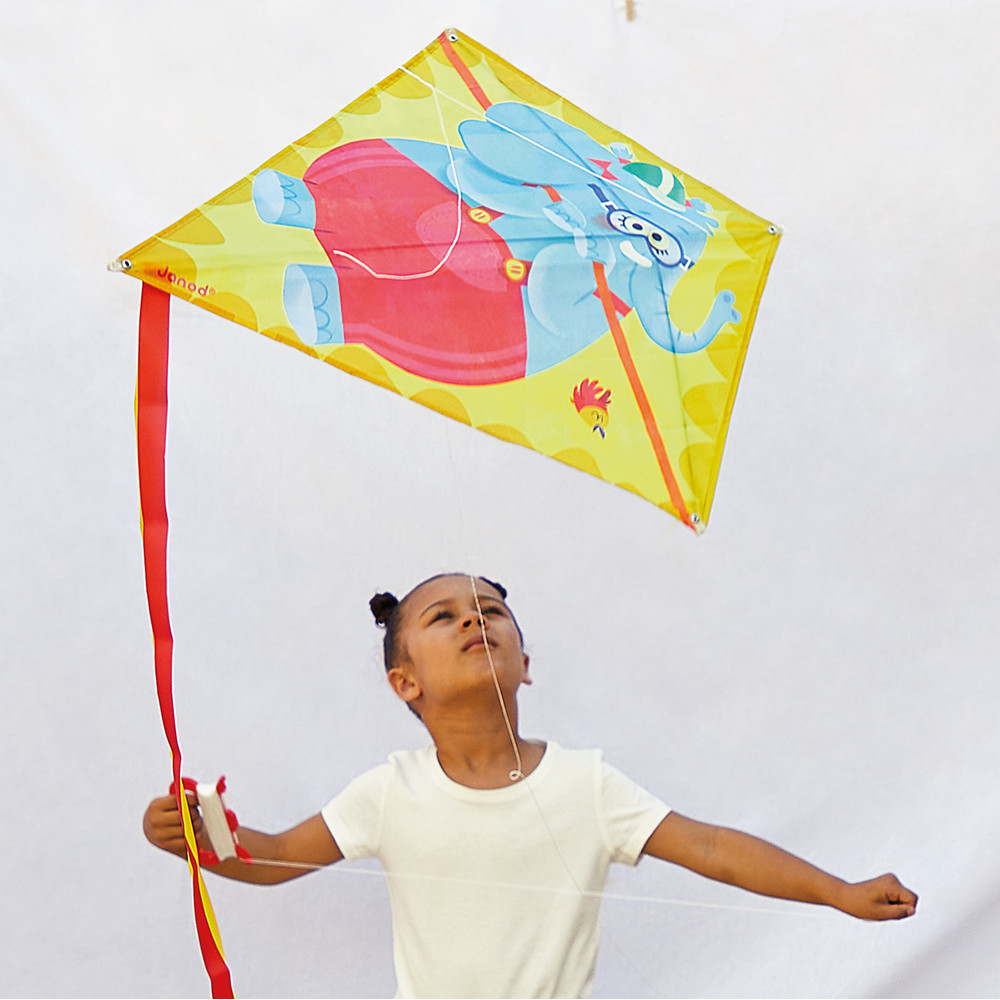 Applepop Elephant Kite : Sports & Outdoor games Janod - J03361
