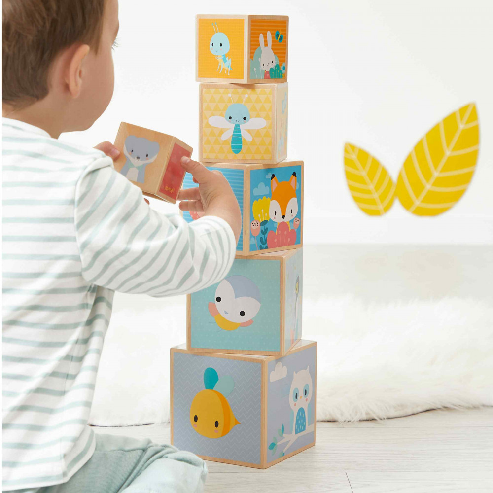 Pyramid 6 Pure cubes : Blocks & Pyramids Janod - J05147