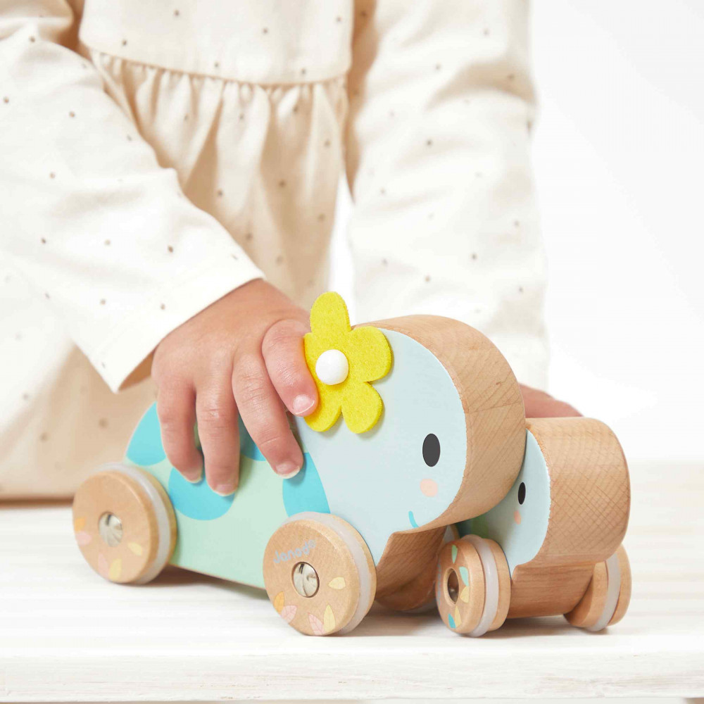 Set of 2 Pure Pushing Turtles : Push & Pull toys Janod - J05148
