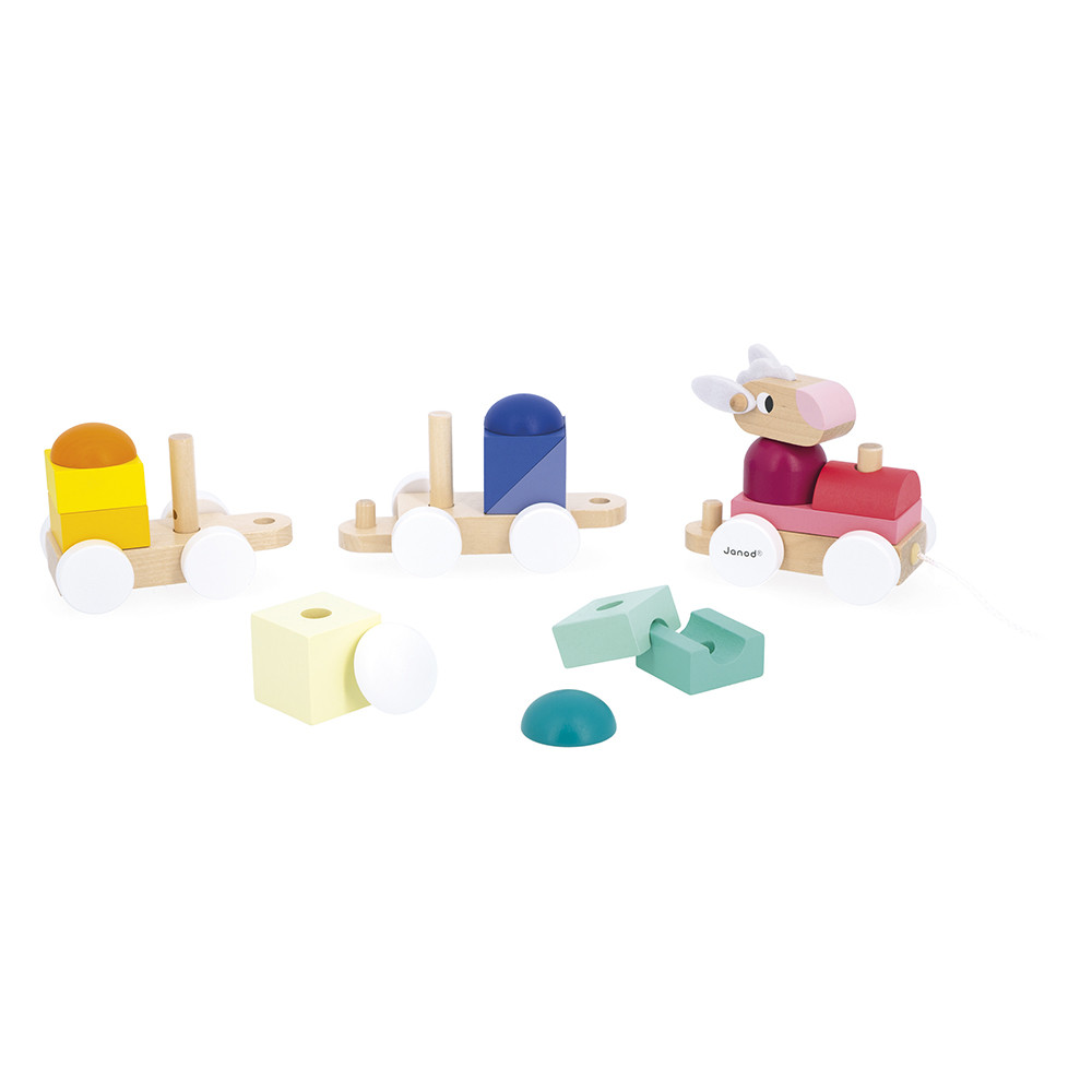 Petit Train Mouton Zigolos : Jouets à promener & à pousser Janod - J08290