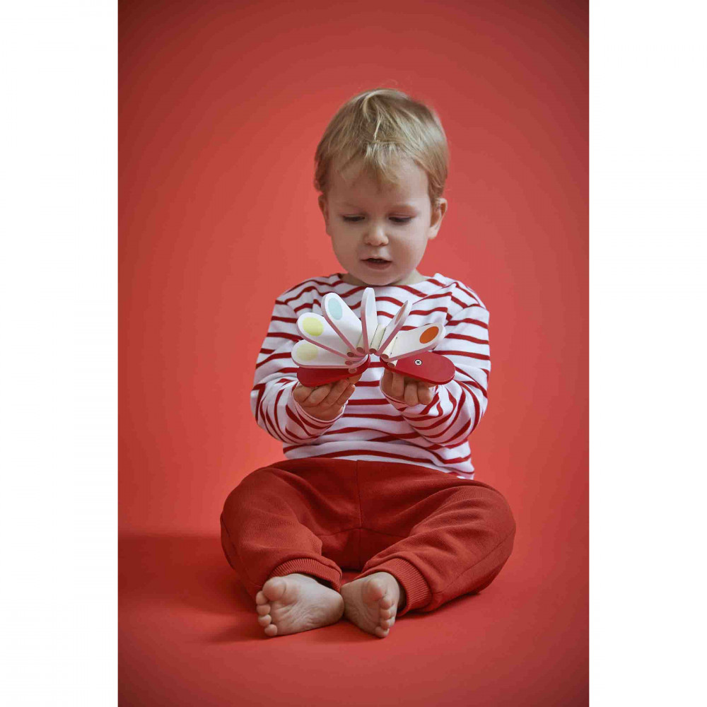 Accordion Clack Clack Confetti : Musical toys Janod - J07678