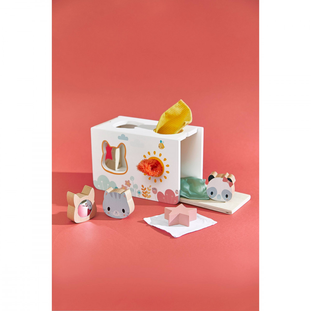 Pure Sensory Tissue Box : Manipulation & stackers Janod - J05140