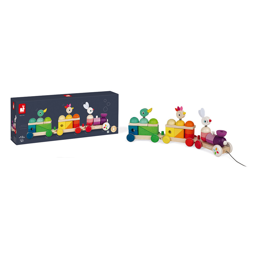 Zigolos Giant Multicolour Train : Push & Pull toys Janod - J08202