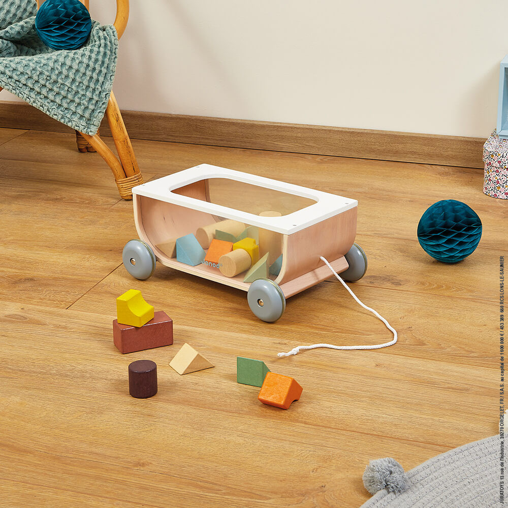 Sweet Cocoon Cart With Blocks : Push & Pull toys Janod - J04407